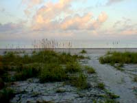 WEST PASCO COUNTY FLORIDA REAL ESTATE